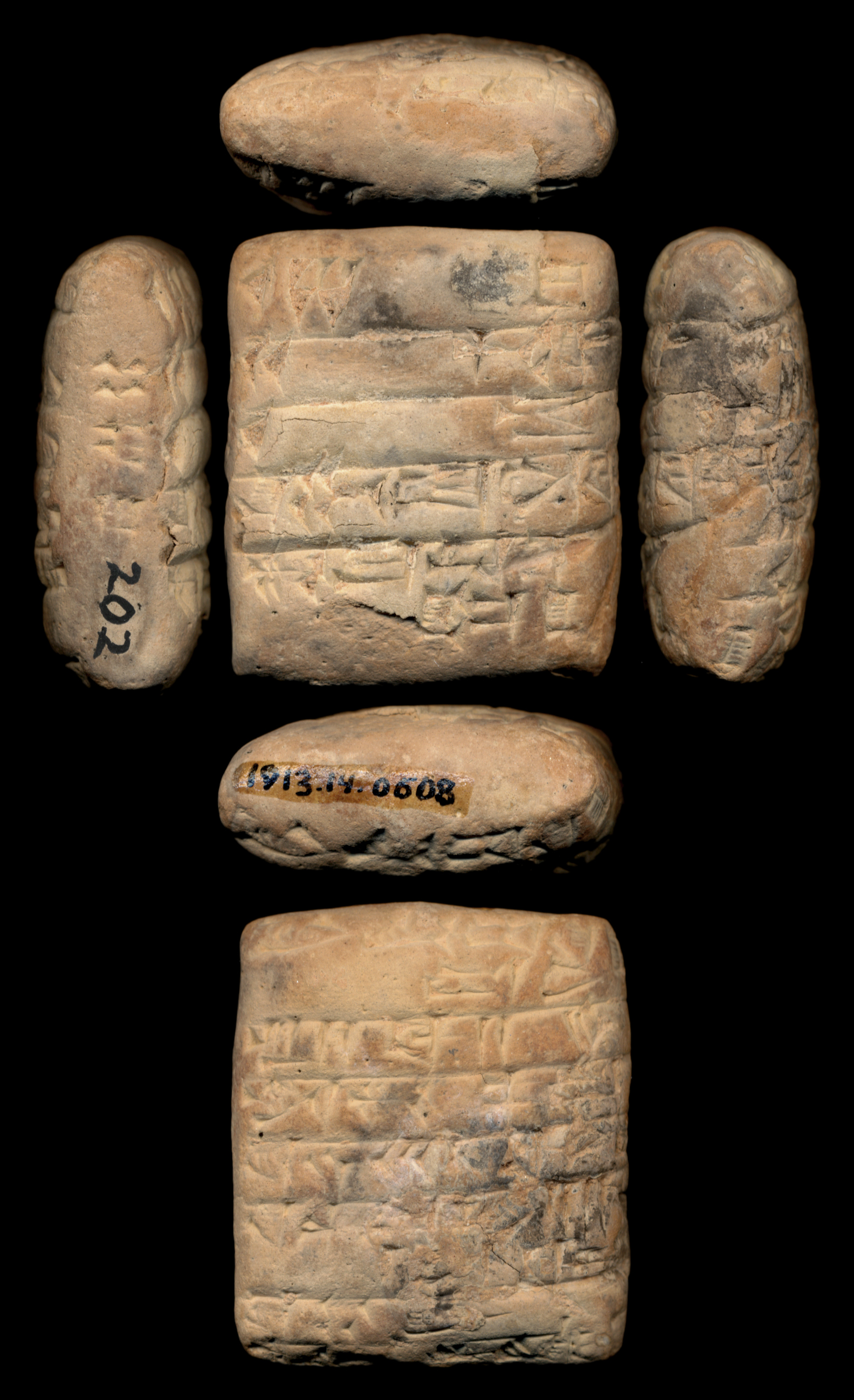 Cuneiform Tablet, Search the Collection, Spurlock Museum, U of I