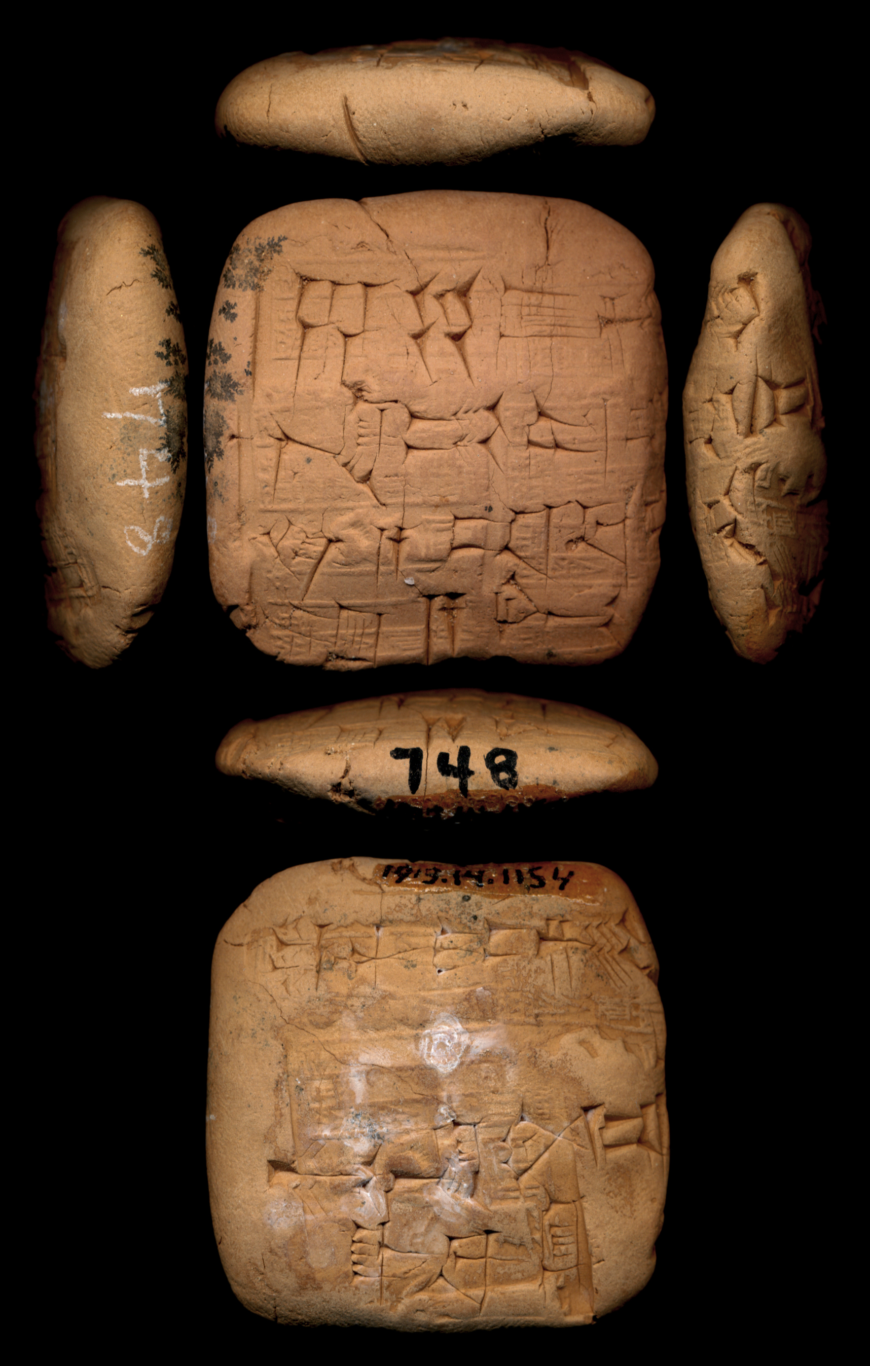 Cuneiform Tablet, Search the Collection, Spurlock Museum, U of I