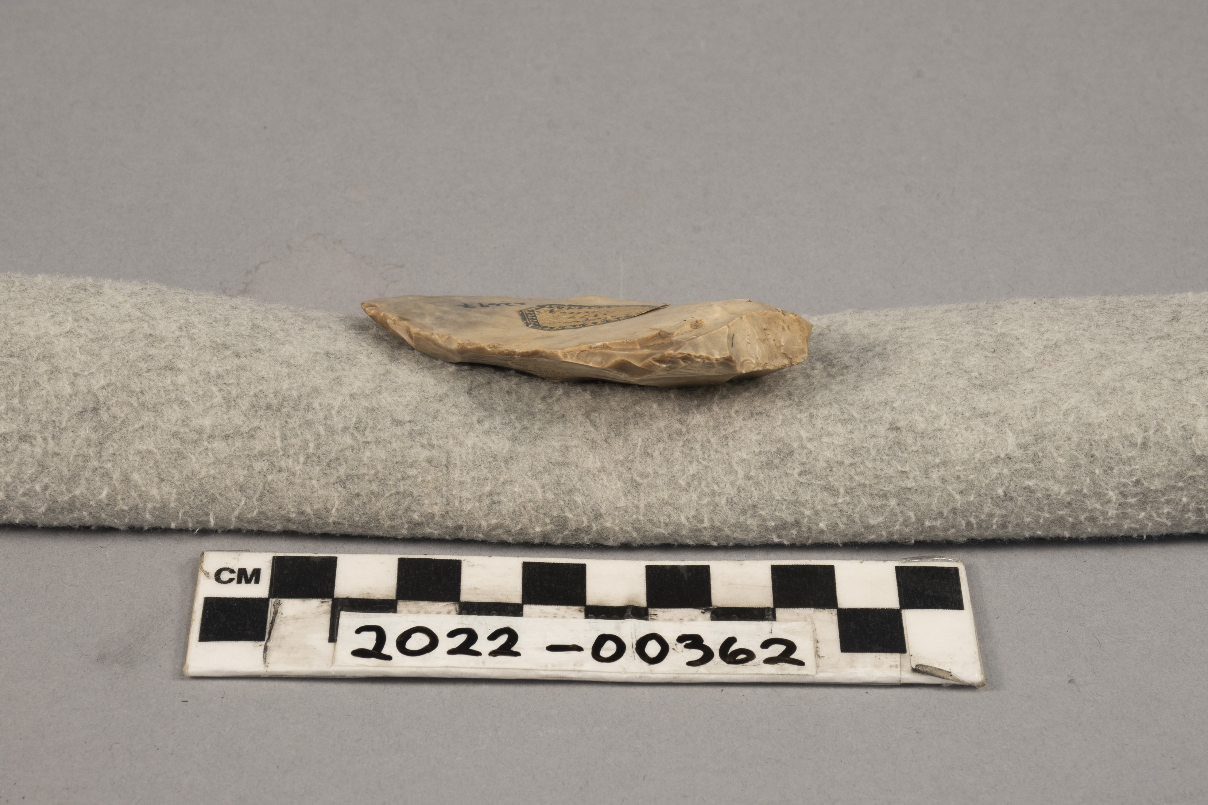Stone Tool: Convergent Scraper, Search the Collection, Spurlock Museum ...