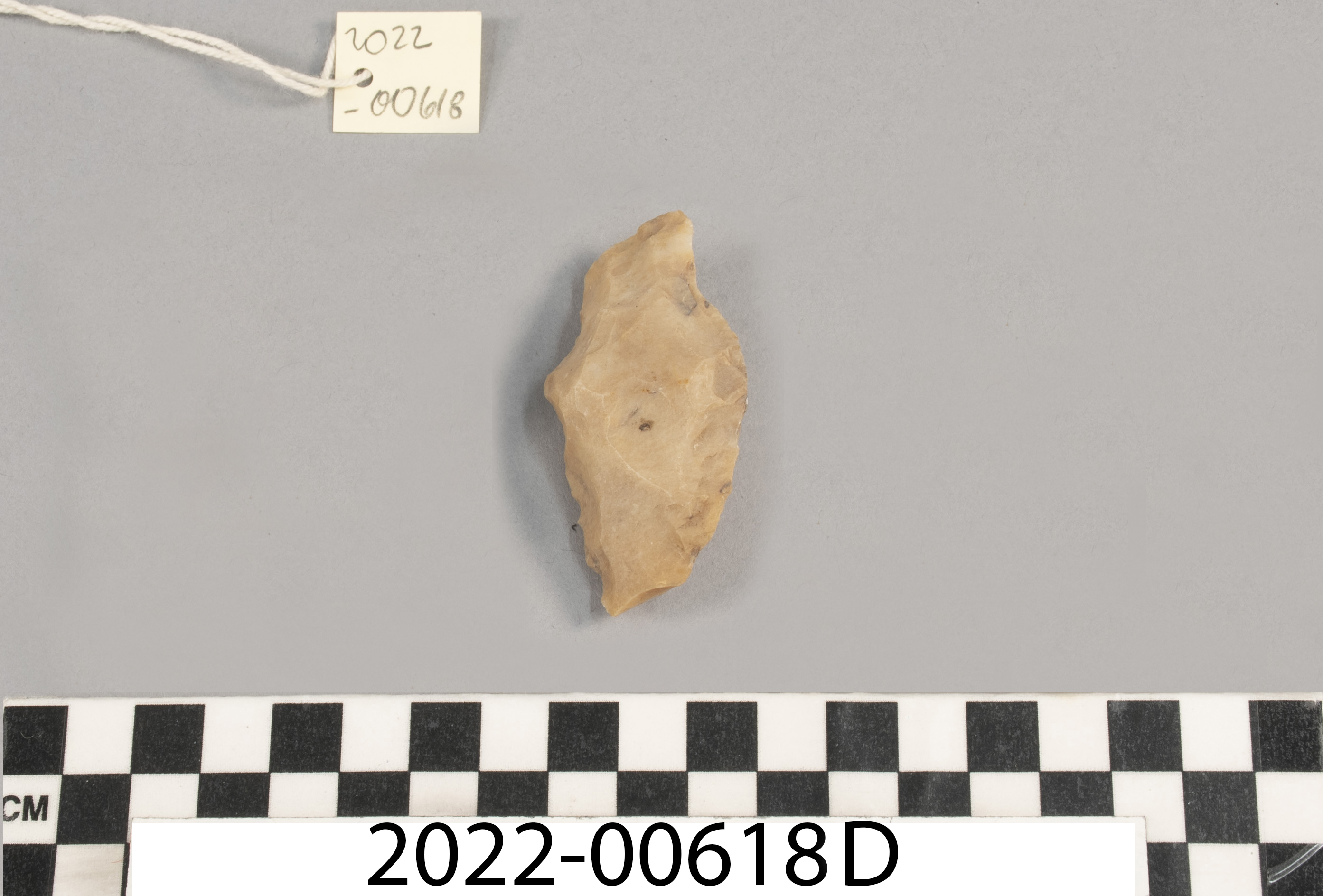Stone Tool: Biface, Search the Collection, Spurlock Museum, U of I
