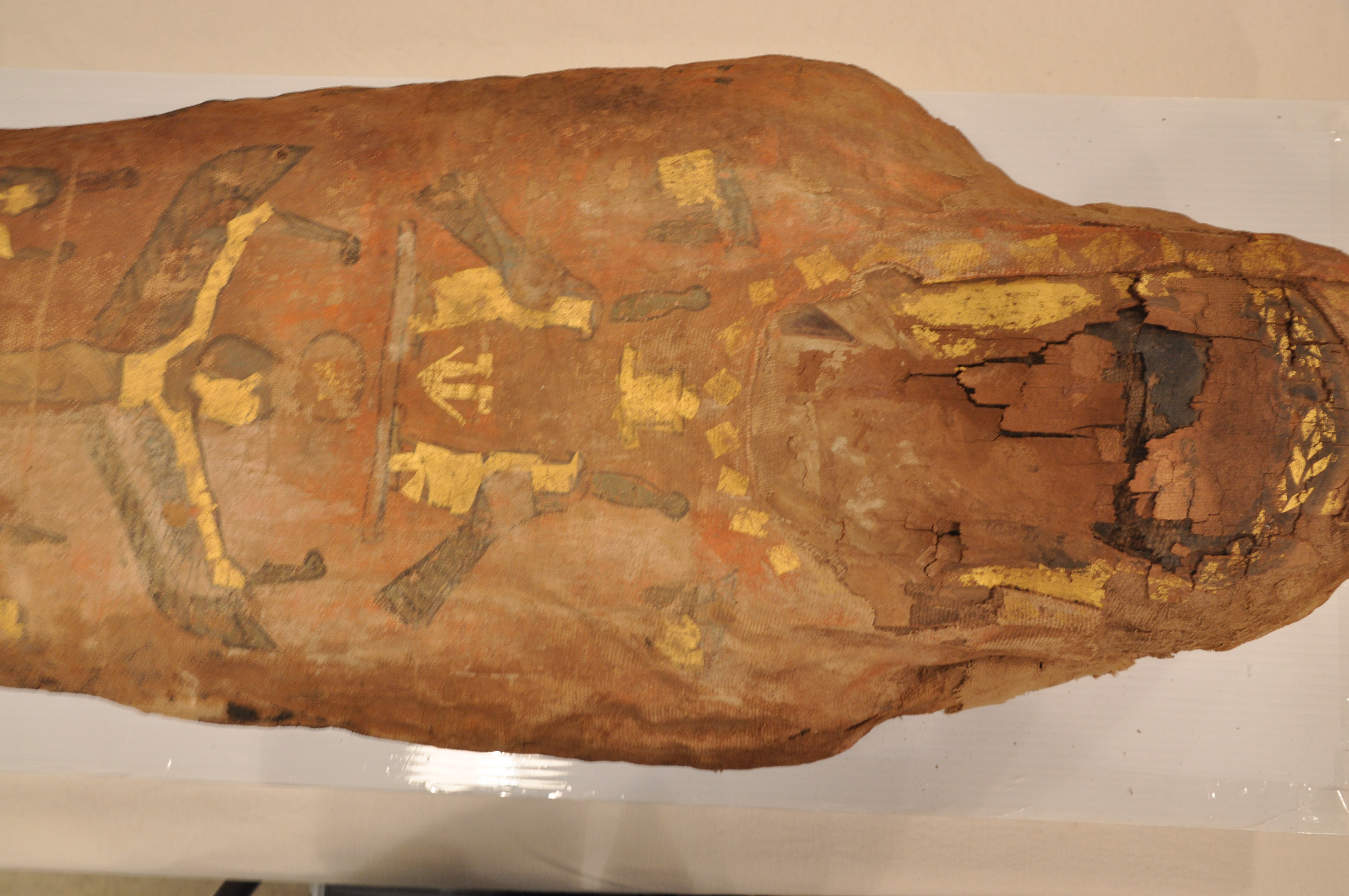 Human Mummy, Search the Collection, Spurlock Museum, U of I