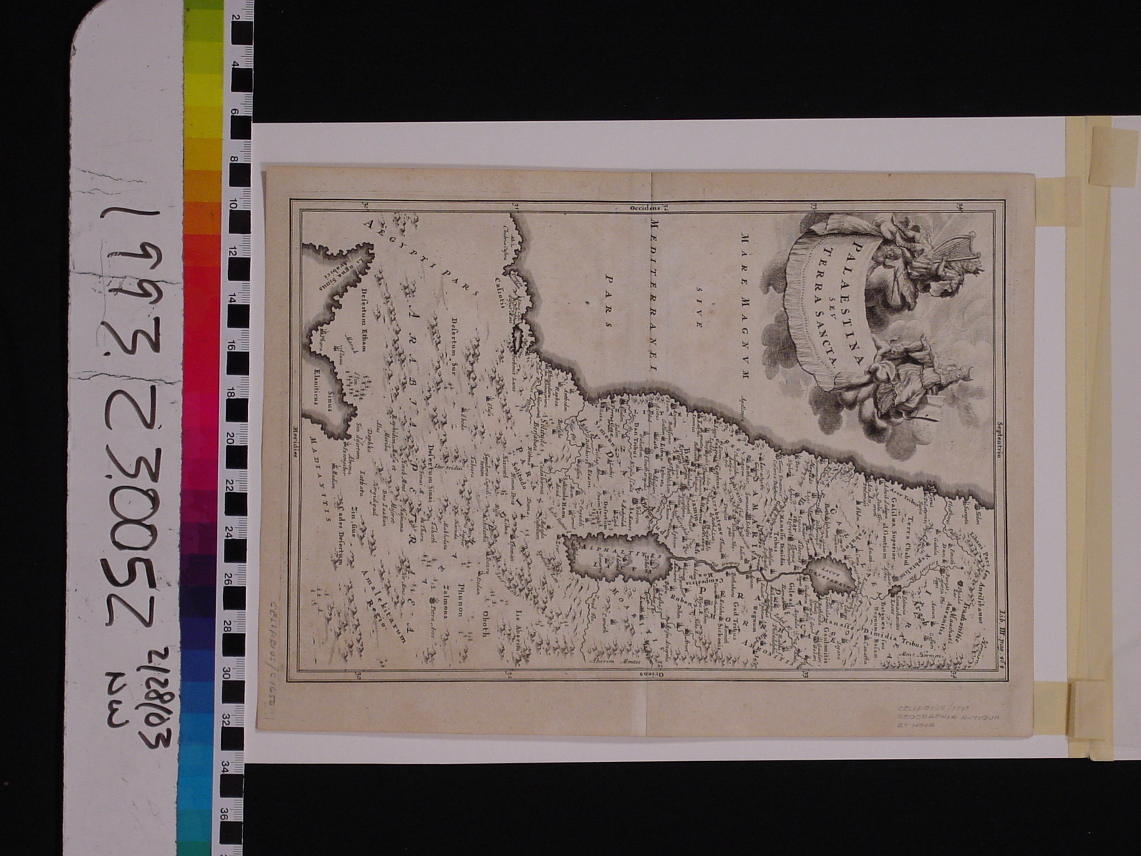Map: Palestine , Search the Collection, Spurlock Museum, U of I