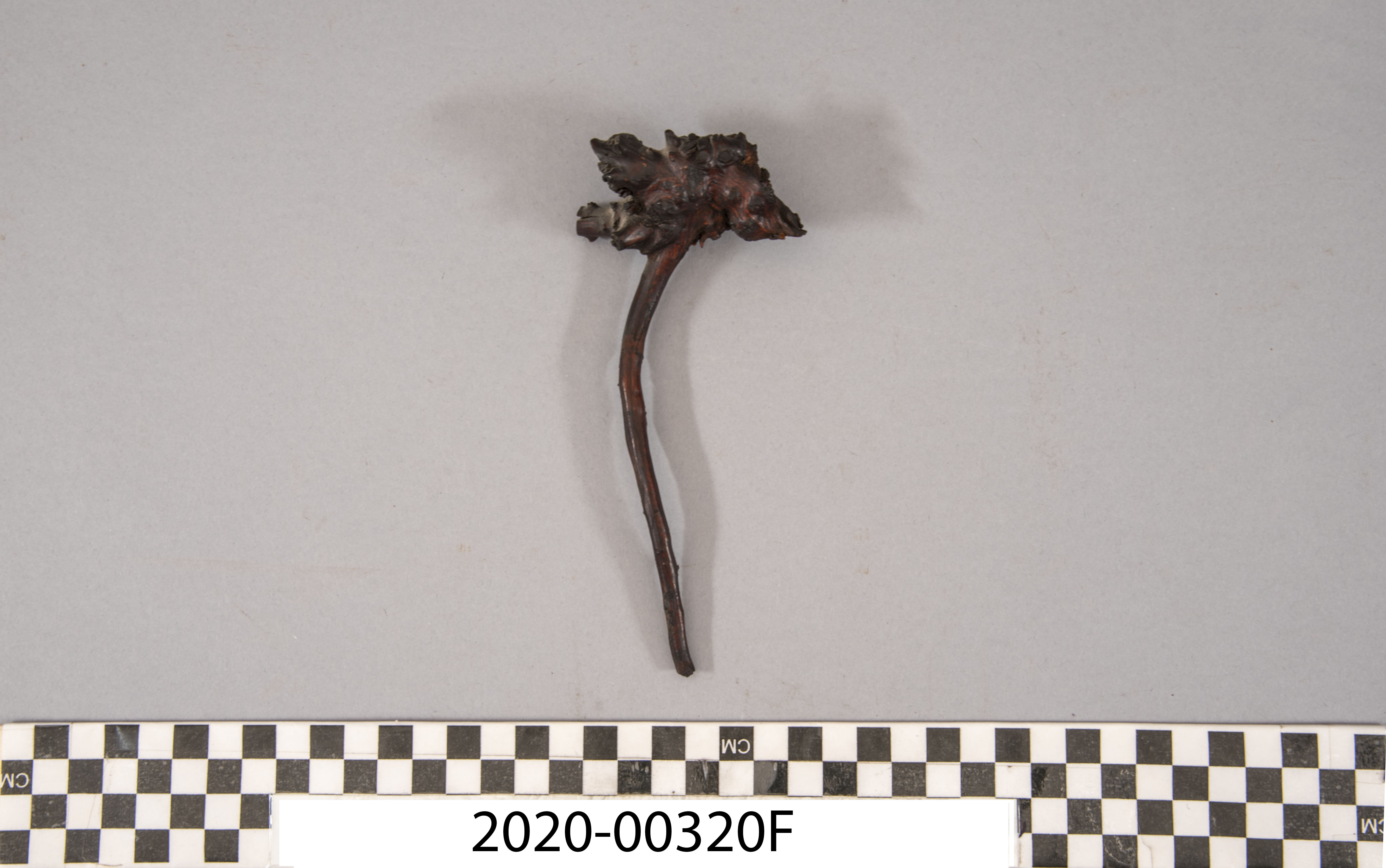 Carving: Elder Staff, Search the Collection, Spurlock Museum, U of I