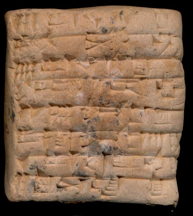 Spurlock Museum, U of I