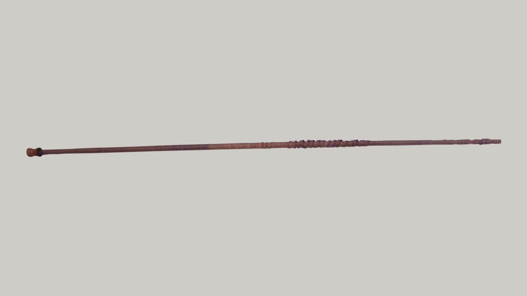 Featured Object: Yagua Blowgun, Blog, Spurlock Museum, U of I